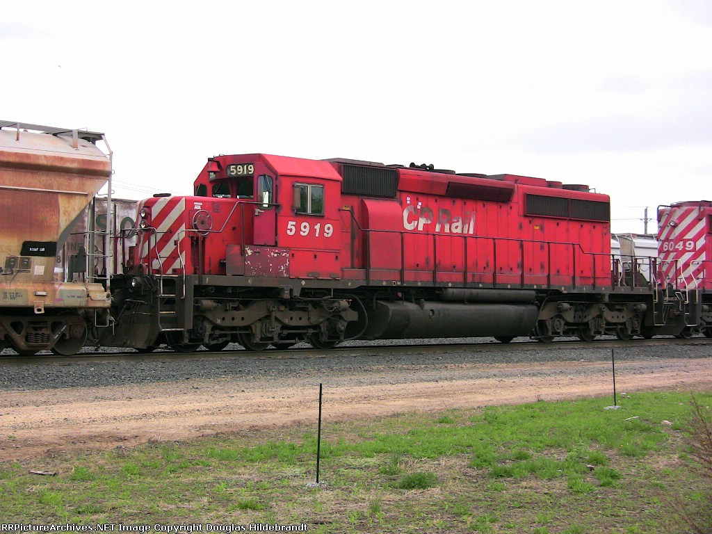 CP 5919